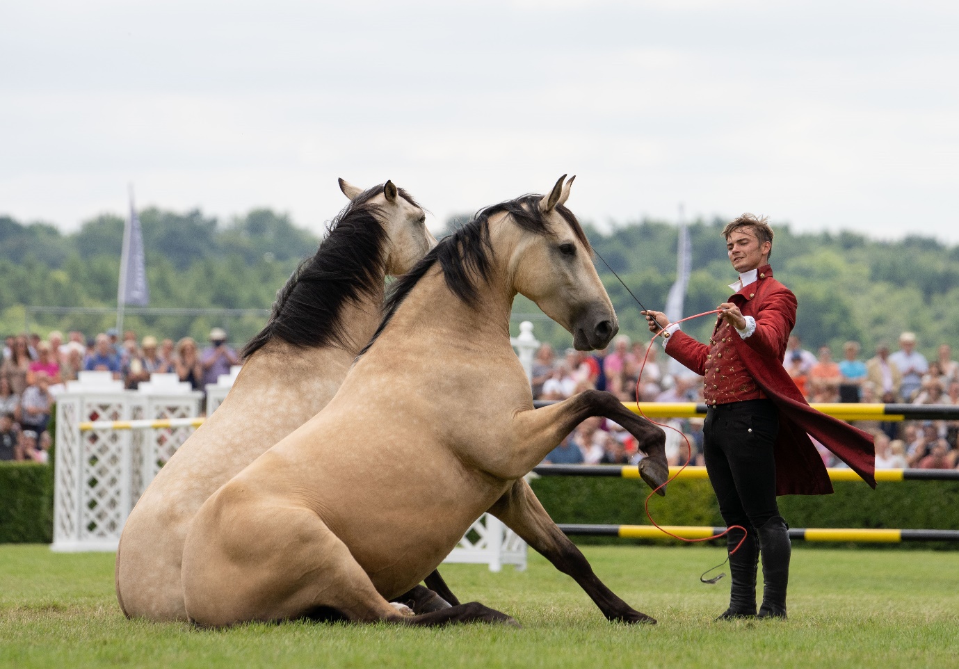 Herts County Showground | Just Smile Ltd